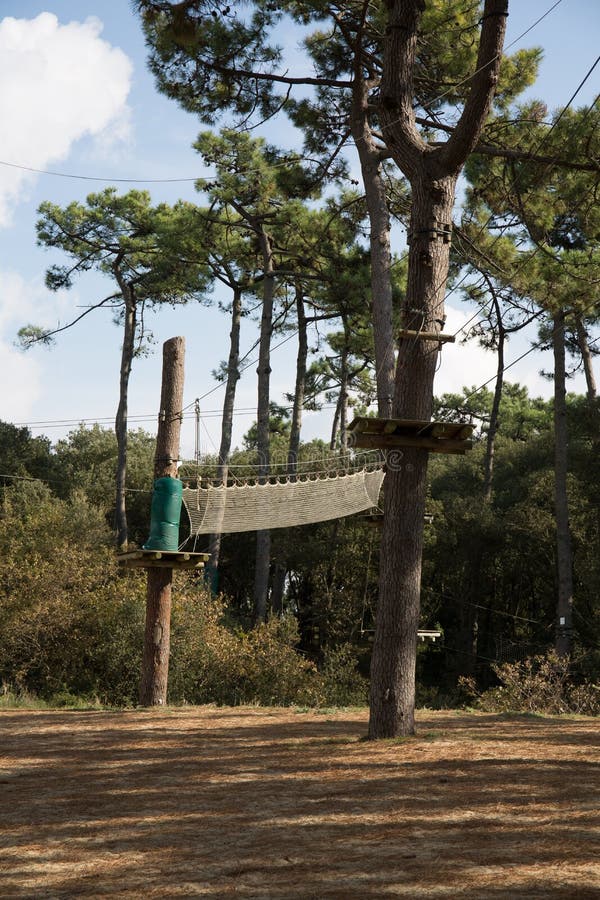 Adventure Climbing High Wire Park in the Forest Stock Photo - Image of ...