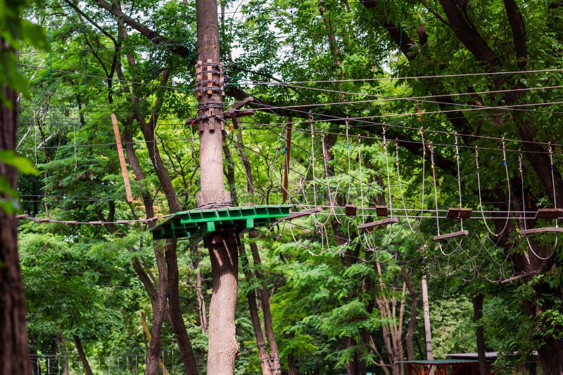 87,099 High Wire Photos - Free & Royalty-Free Stock Photos from Dreamstime