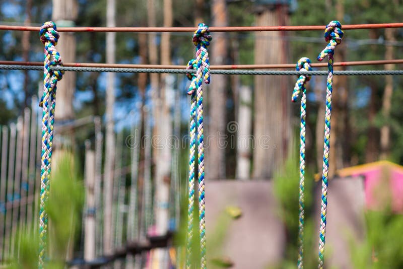 Adventure Climbing on High Wired Park. Forest Adventure Park among Pine ...
