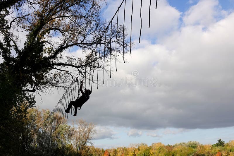 Adventure climbing tree stock image. Image of brave - 371527689