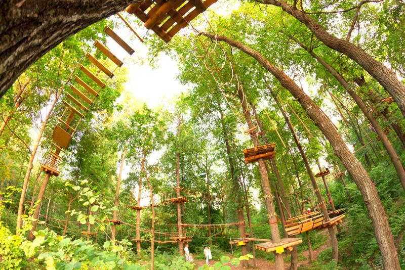 Adventure cpark in forest stock image. Image of safety - 162795381