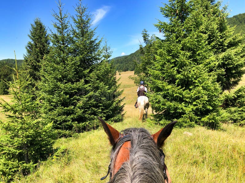 Horse riding in nature stock image. Image of nature - 173376083