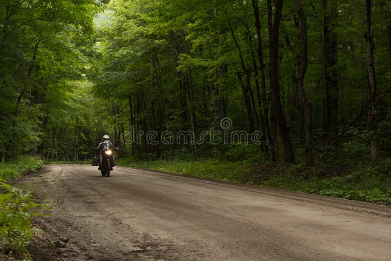 Adventure Motorcycle in the Woods Stock Photo - Image of nature ...