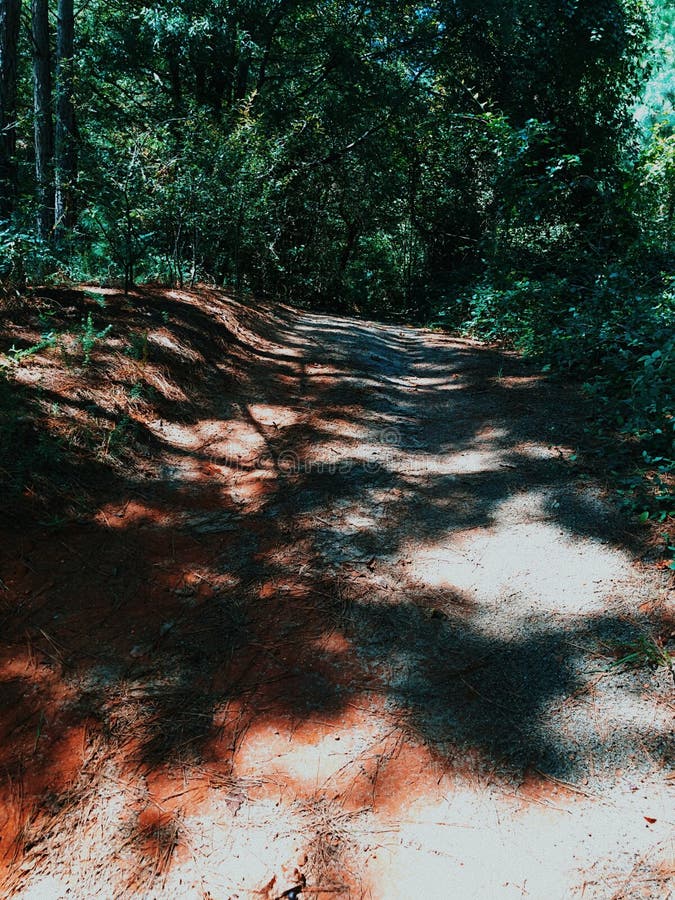 TyQuarius Pittman (Coolbrojoee) - Photographer profile