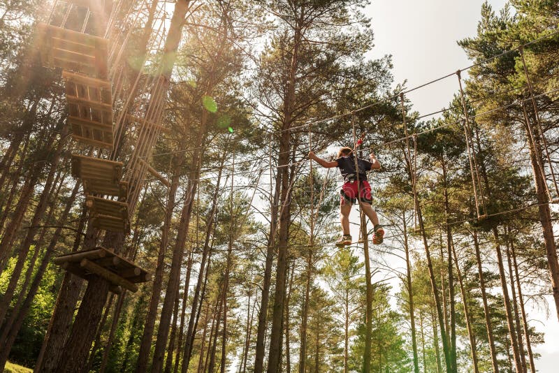 Adventure park stock image. Image of challenge, extreme - 60026439