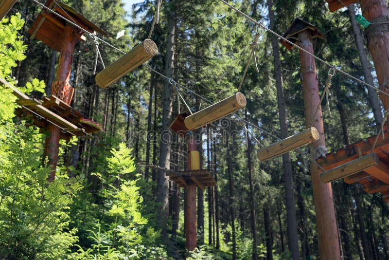 Adventure Playground in the Trees Stock Image - Image of play, climbing ...