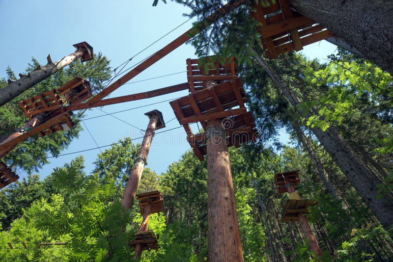 Adventure Playground in the Trees Stock Photo - Image of fear, hang ...