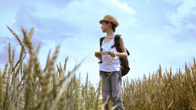 Adventurous Explorer: Boy in Field Searching on Tablet Map Stock Video ...