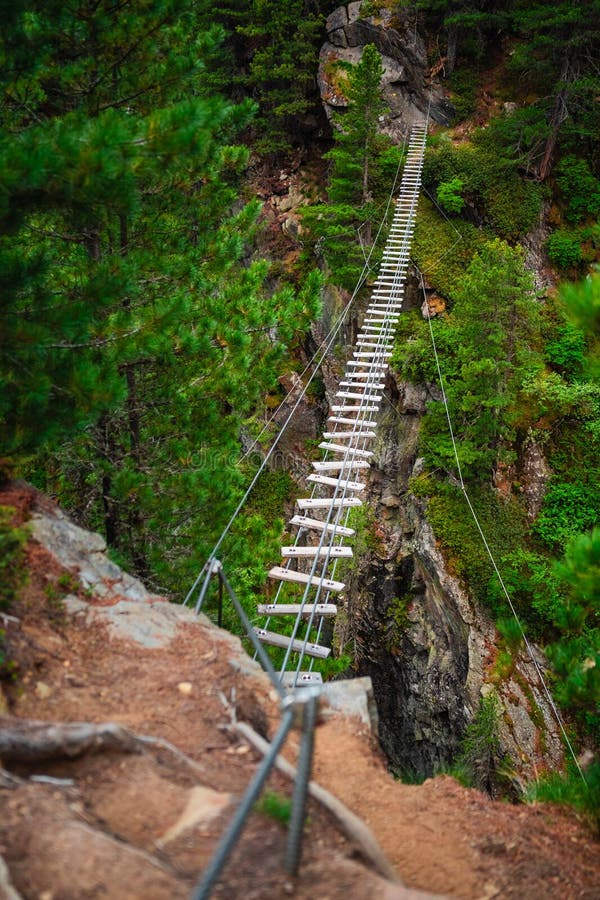 Adventurous Hanging Bridge Hiking Path Stock Image - Image of form ...