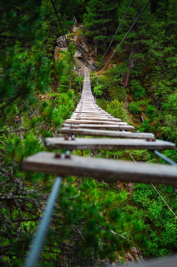 Adventurous Hanging Bridge Uncertain Journey Path Stock Image - Image ...