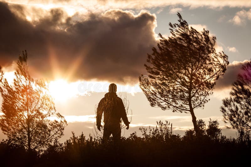 Adventurous Man Observing a Lovely Sunset in Nature, Alone, Stan Stock ...