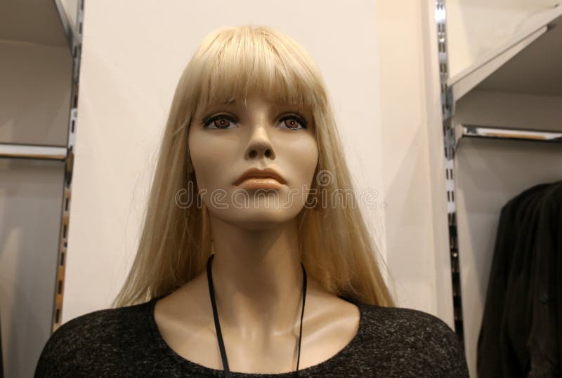 Dummy stock image. Image of interior, products, city - 103038337