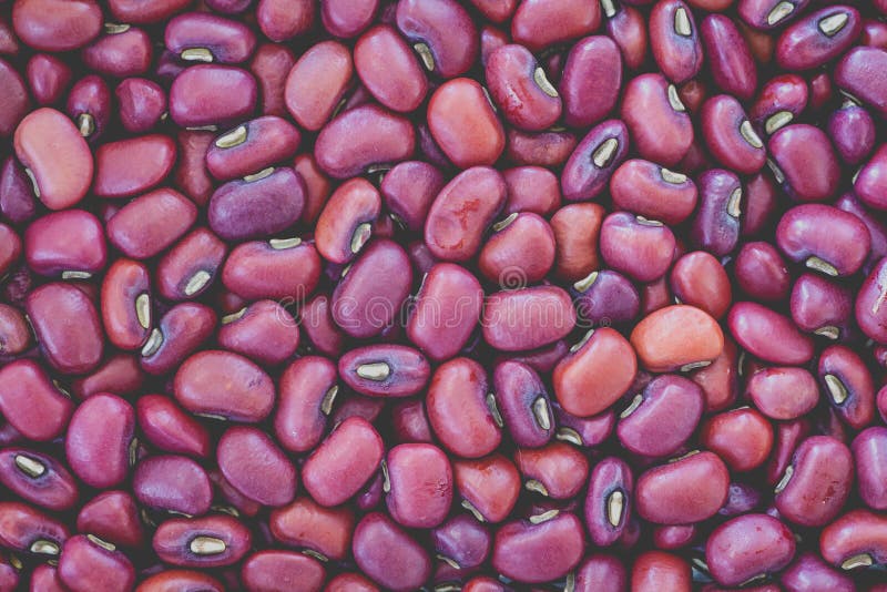 Adzuki bean or red bean stock photo. Image of health - 57176792