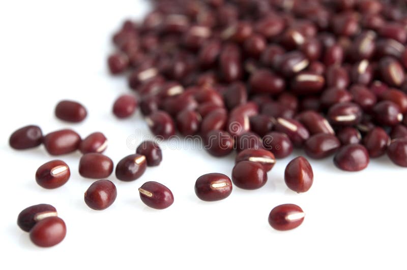 Adzuki Beans stock photo. Image of focus, cuisine, close - 15388242
