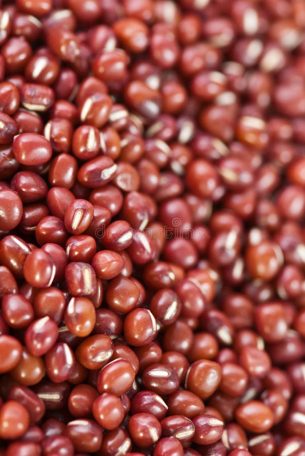 Adzuki beans stock photo. Image of ingredient, cooking - 39851334