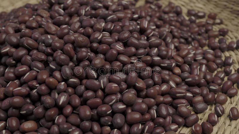 Adzuki Beans. Whole Raw Fruits of Vigna Angularis Stock Video - Video ...