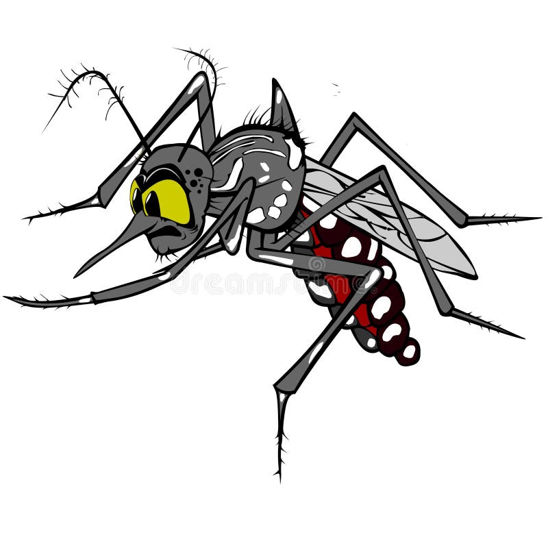Aedes Aegypti Illustration stock vector. Image of chikungunya - 70521488
