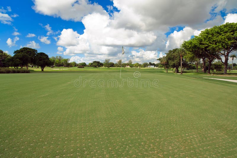 Aerated Golf Course Putting Green Stock Image - Image of practice, hole ...