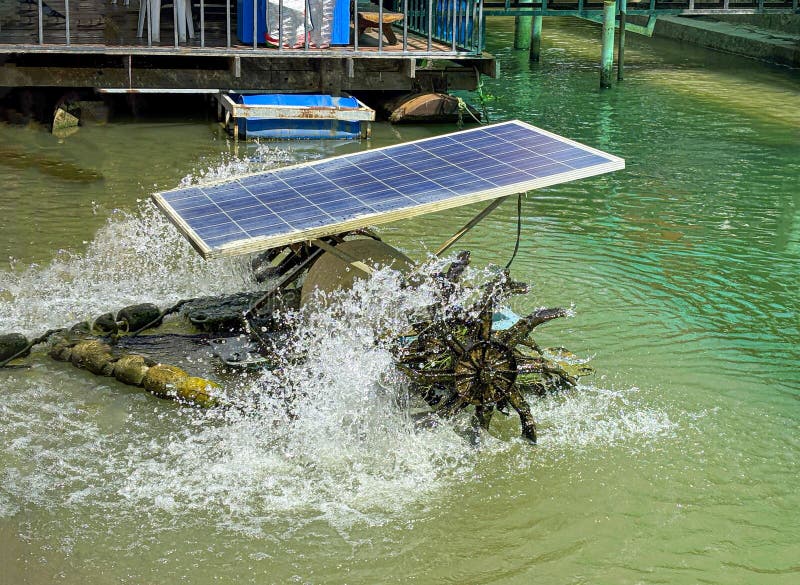 486 Aerator Water Fish Stock Photos - Free & Royalty-Free Stock Photos ...