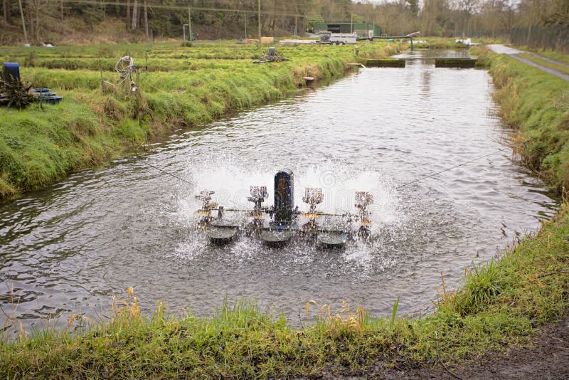 221 Aerator Aquaculture Farm Stock Photos - Free & Royalty-Free Stock ...