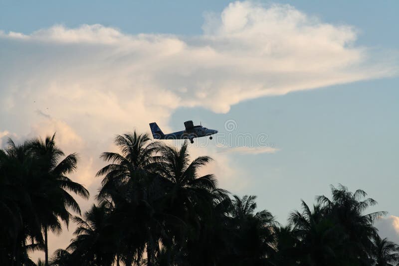 Aereo Al Decollo Sopra Le Palme Immagine Stock - Immagine di pacifico ...
