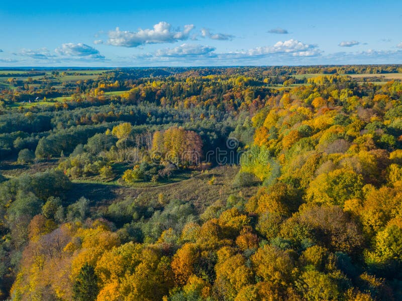 Aerial Autumn Landscape with Colorful Maple Trees Stock Photo - Image ...