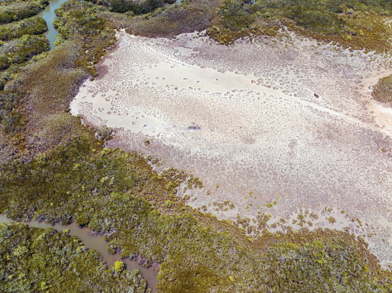Aerial Coastal Salt Flats stock image. Image of australia - 237692587