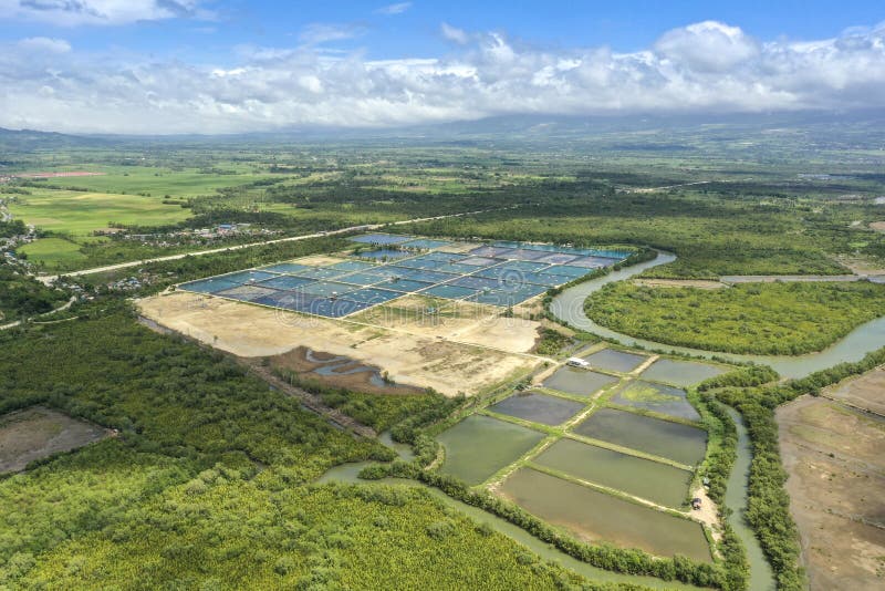 Aerial of a Commercial Fish Farm Near Ormoc, Leyte, Philippines ...