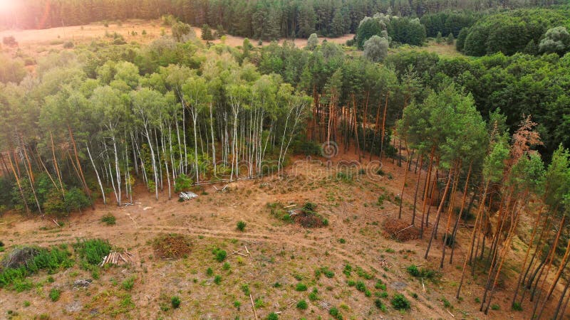 Aerial. Deforestation Background Stock Photo - Image of greenery ...