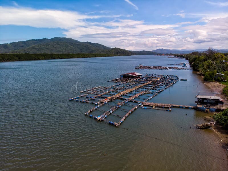 Aerial Drone Image of Cages of a Large Fish Farm Stock Photo - Image of ...