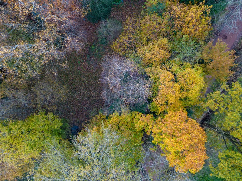 Aerial Drone Photo Looking Down on an Autumn Forest with Multi Colored ... Aerial Drone Photo Looking Down on an Autumn Forest with Multi Colored ...