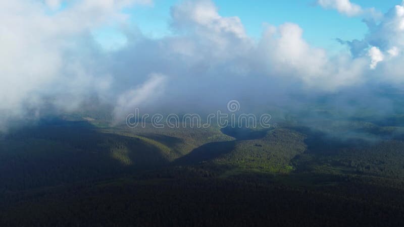 Aerial Drone Shot Capturing an Endless Mountain Range Covered in Lush ...