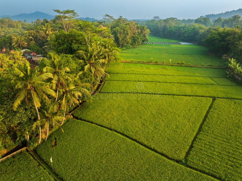 1,041,933 Indonesia Stock Photos - Free & Royalty-Free Stock Photos ...