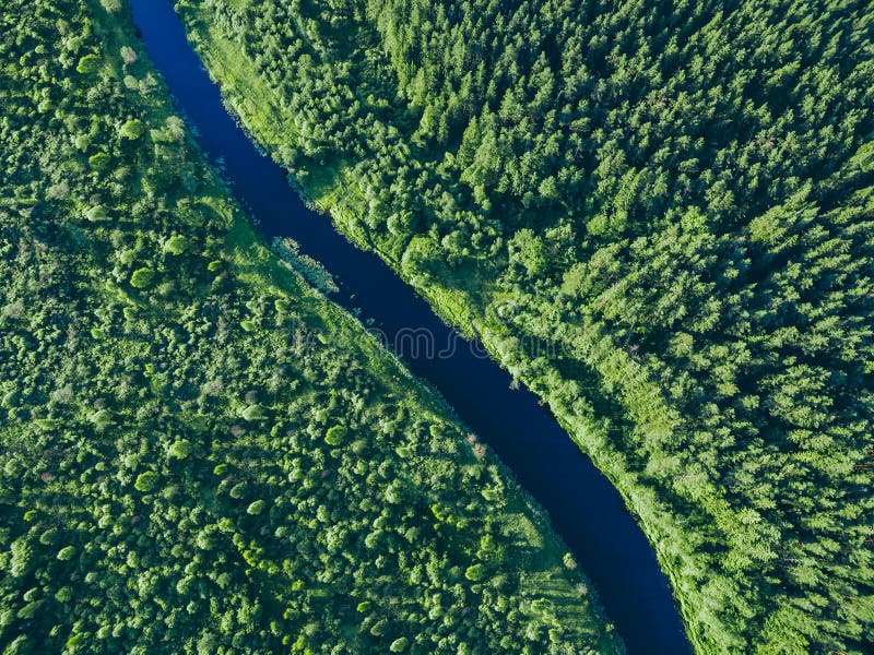 Aerial Drone View of Blue Curve River and Green Tree Forest. Beautiful ...