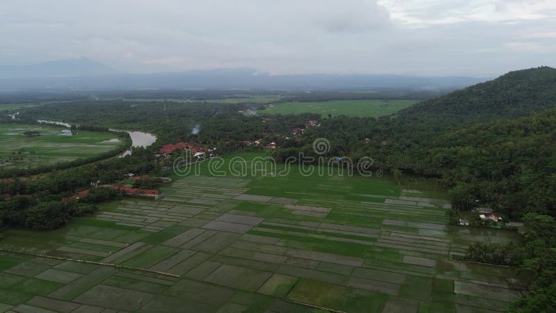 Aerial Drone View of the Hills and Rice Fields Bordering the River with ...