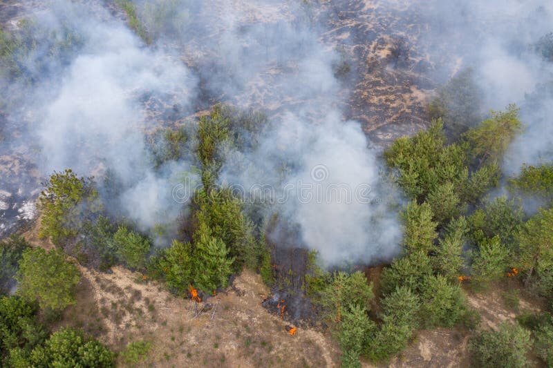 Aerial Drone View of a Wildfire in Forested Area Stock Image - Image of ...