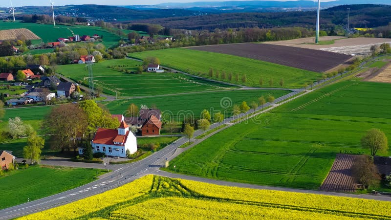 Aerial Drone View of Yellow Rapeseed Fields in German Countryside Stock ...