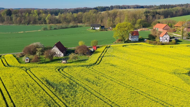 Aerial Drone View of Yellow Rapeseed Fields in German Countryside Stock ...