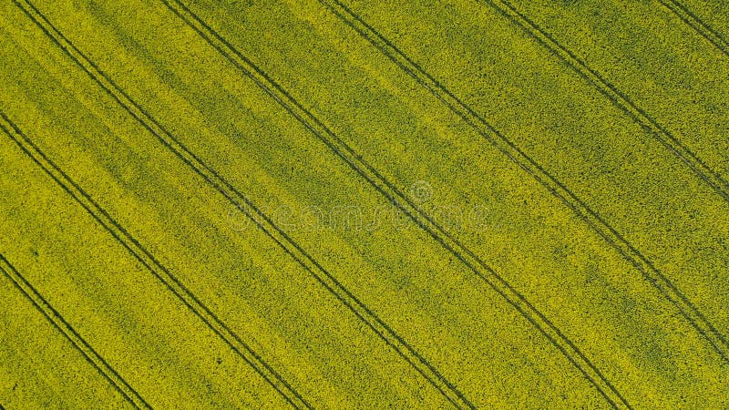Aerial Drone View of Yellow Rapeseed Fields in German Countryside Stock ...