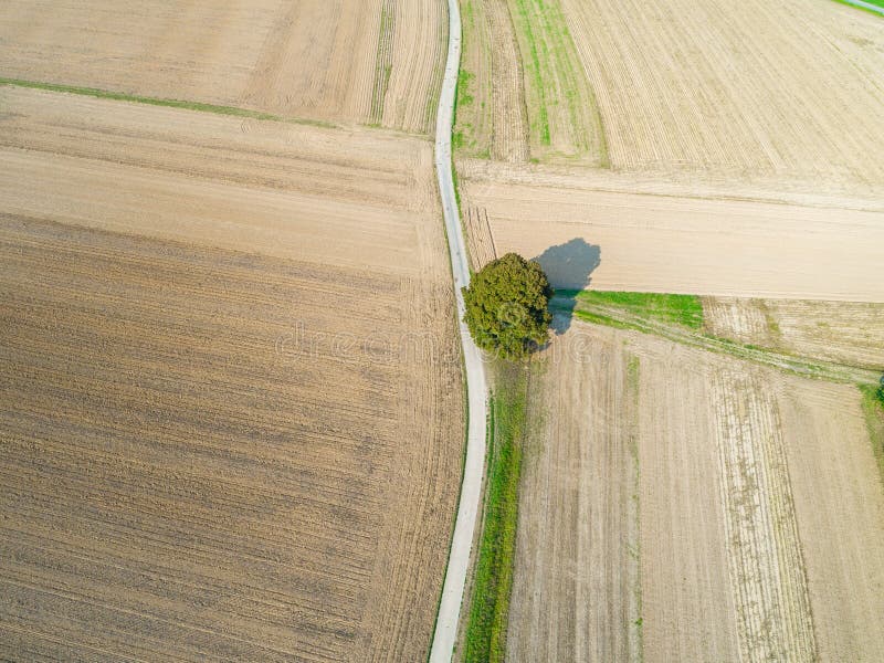 Aerial of Empty Fields with Single Tree Stock Photo - Image of aerial ...