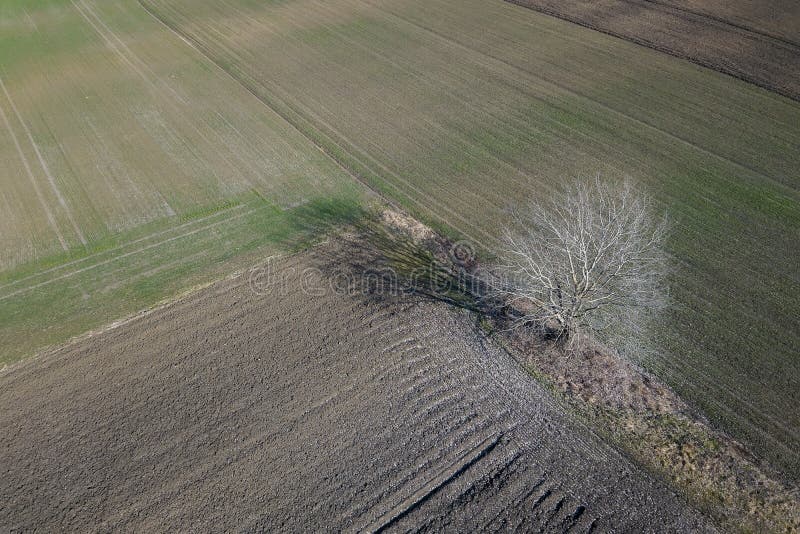 Aerial Fields in Early Spring. Aerial Shot of Fields Stock Image ...