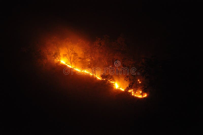Aerial of Forest Fire on a Hill at Night Stock Image - Image of heat ...
