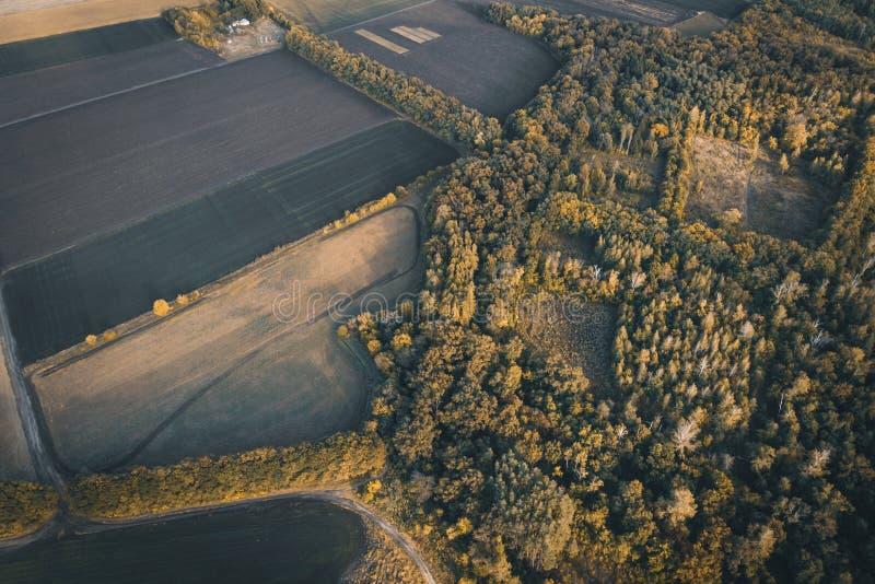 Aerial Forest and Meadows in Summer Day from Above, Top View Stock ...