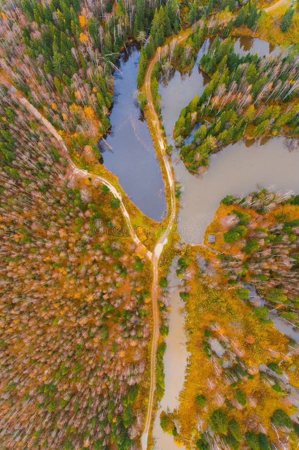 Aerial Forest View at Autumn Time with Good Weather Stock Photo - Image ...