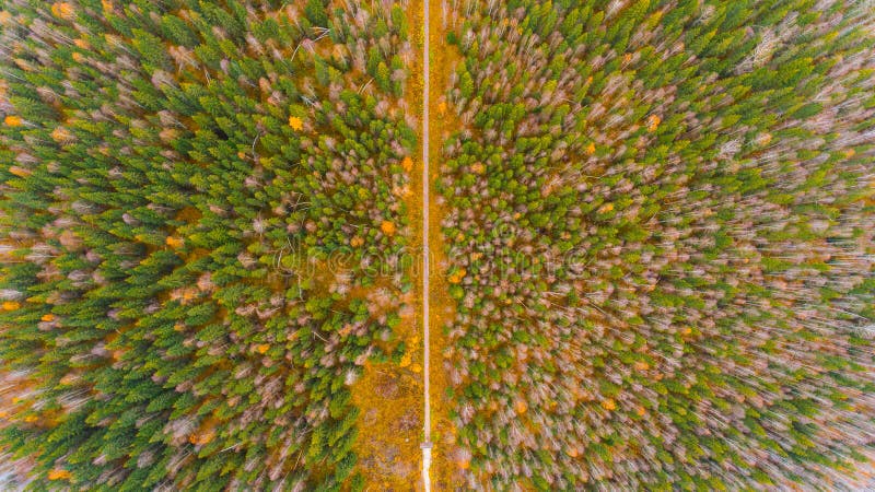 Aerial Forest View at Autumn Time with Good Weather Stock Image - Image ...