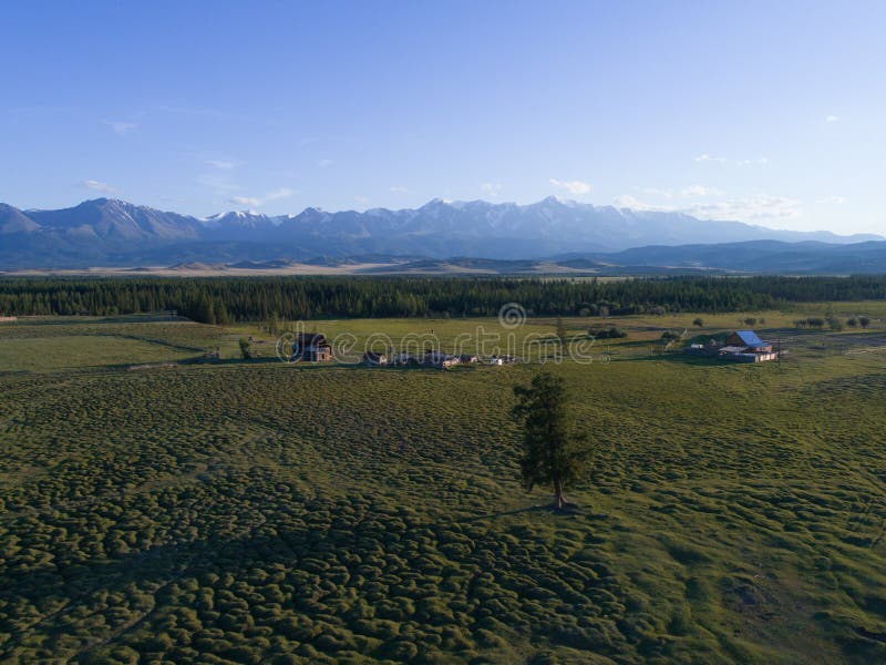 Aerial Forest View at Summer Time with Good Weather Stock Photo - Image ...