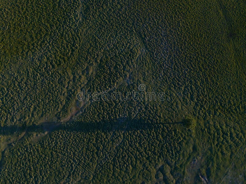Aerial Forest View at Summer Time with Good Weather Stock Image - Image ...