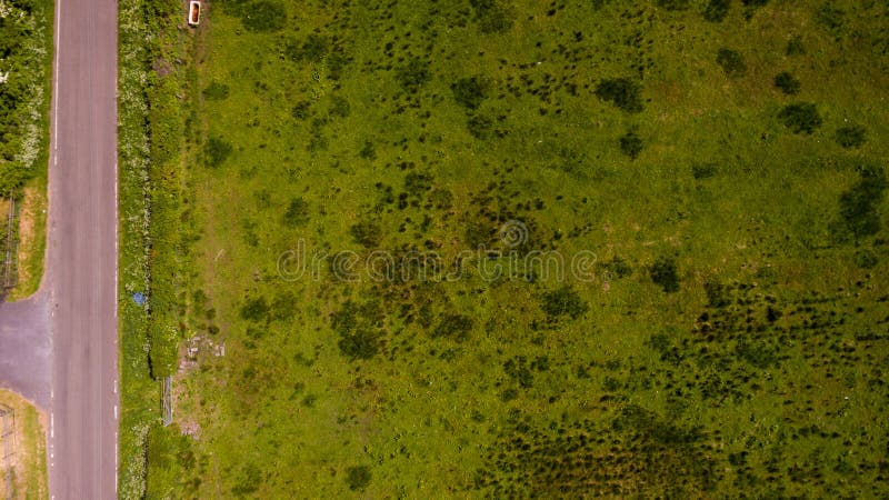 Aerial Grass Texture stock photo. Image of rural, countryside - 73493700