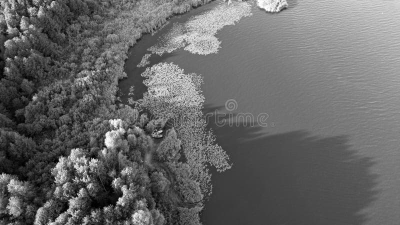 Aerial Grayscale Shot of a Coast with Trees Stock Photo - Image of ...