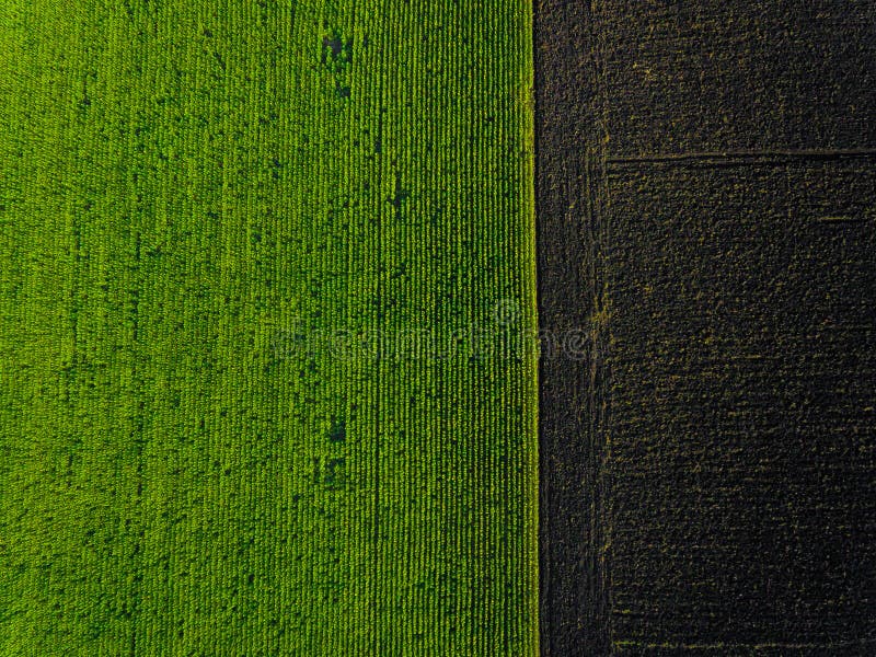 Aerial. Green Grass Texture Background Stock Photo - Image of design ...